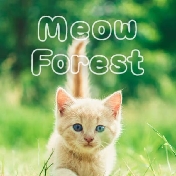 Meow Forest